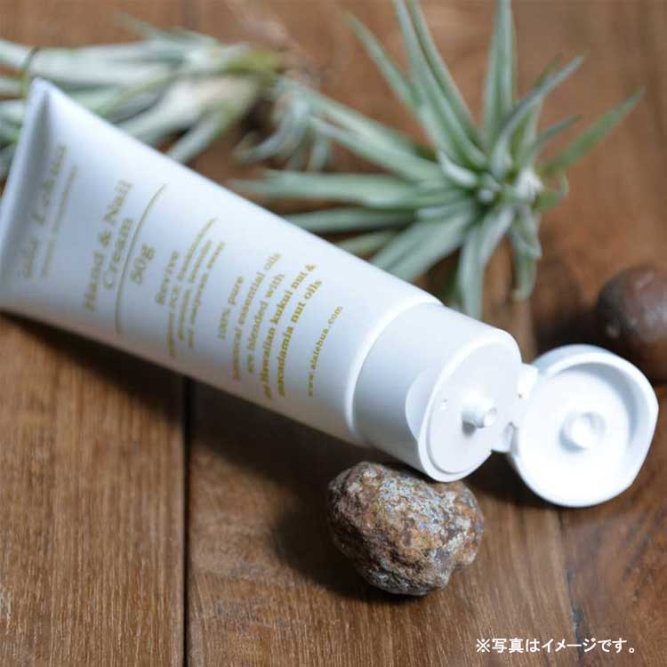 【アラレファ】ハンド＆ネイルクリーム nest(nest): ビジター表示商品｜ファンビ寺内ネットストア